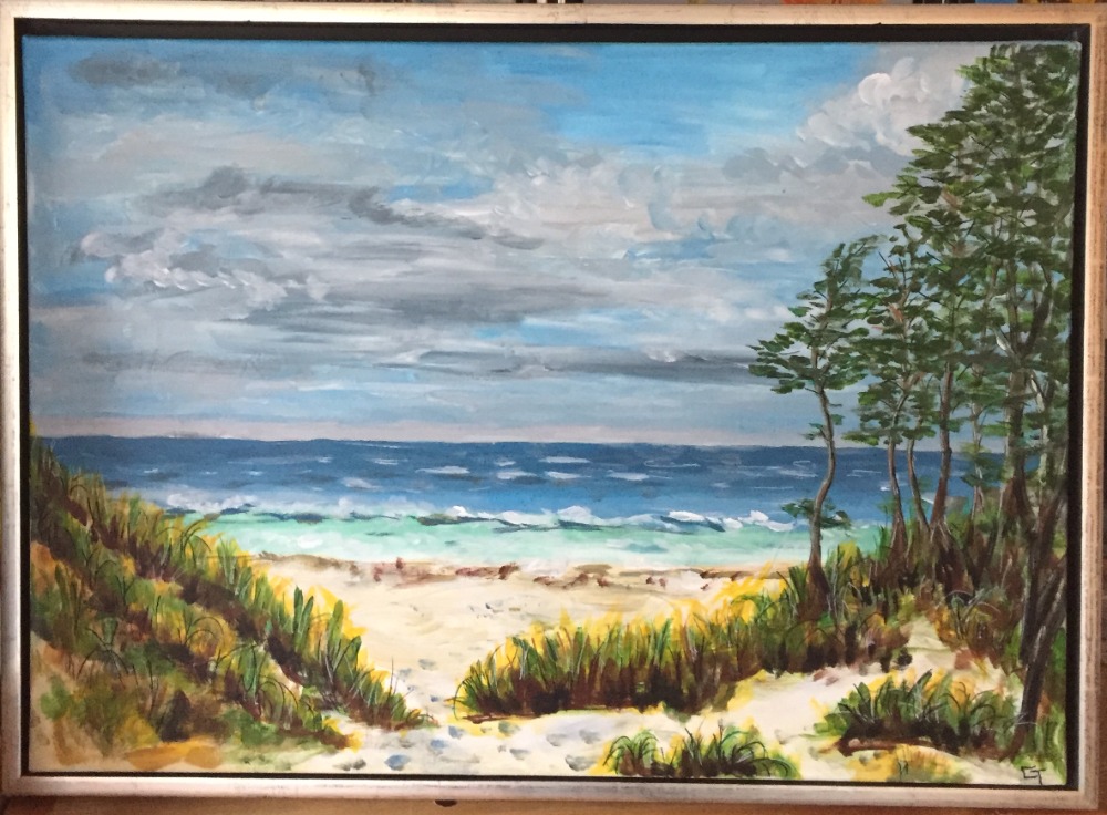 Strand og skov billeder